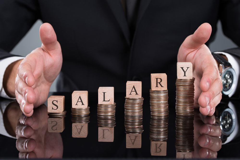 What is the CTO Salary in the USA in 2023? - CTO Academy
