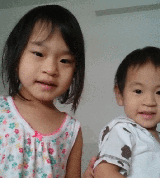 Developmental Delay - IAHP