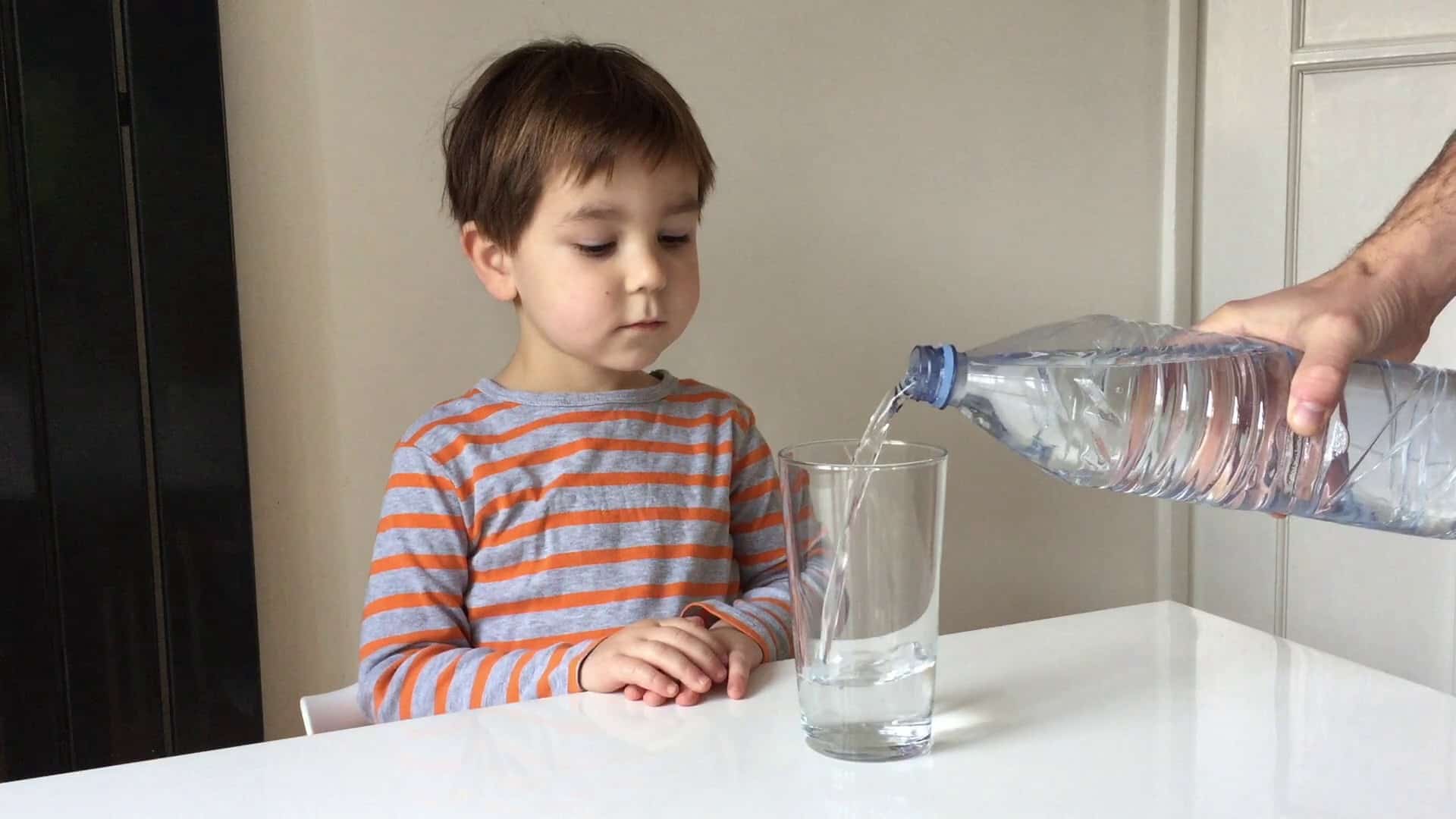 Egg Drop Experiment - Inertia Science Project