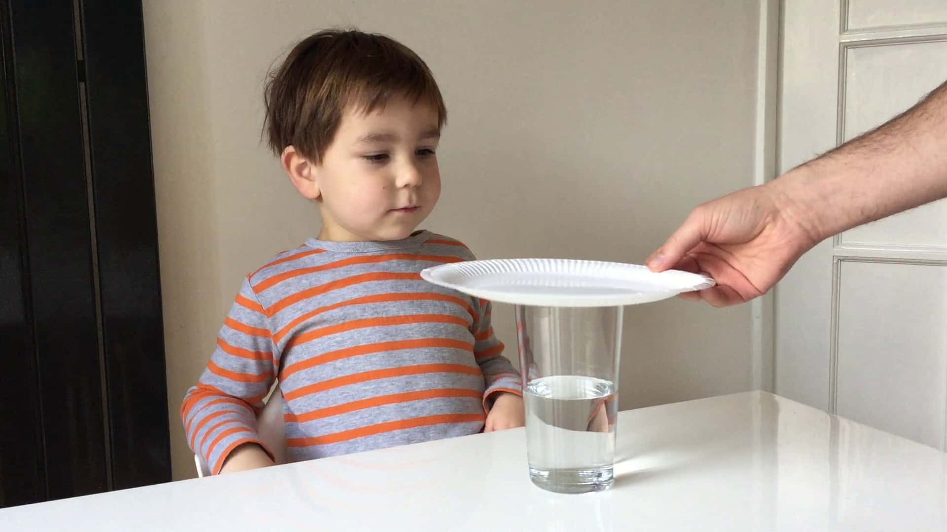 Egg Drop Experiment - Inertia Science Project