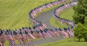 Was Hamilton a Federalist? - Constitution of the United States