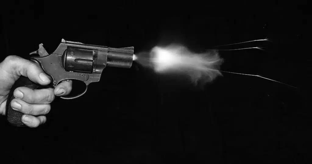 How to Safely and Legally Own a Gun in America - Gun Ownership