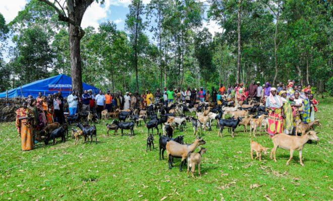 The (surprisingly political) cost of a goat in Burundi | African Arguments