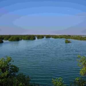 Al Khor Heritage and Eco-Trip