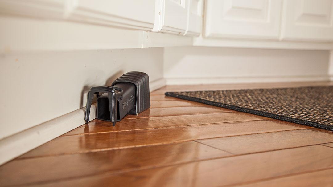 6 Best Selling Outdoor Commercial Mouse Bait Stations For Rats - Best ...