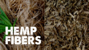 About Bulk Hemp Warehouse Bulk Hemp Warehouse