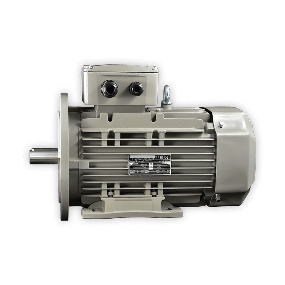 132 kW BG315M IMB35 4-pol Elektromotor IE3 – Hydraulikpumpen.COM by Lutz Kracht – LUKRA Pumpen
