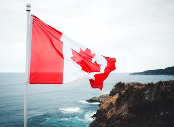 An Introduction to CICC, RCIC, and CAPIC | ImmigCanada