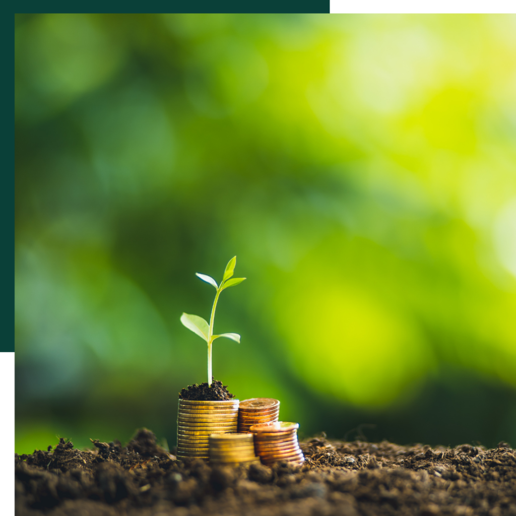 Employment Partnership - LocoSoco | Sustainability Made Simple