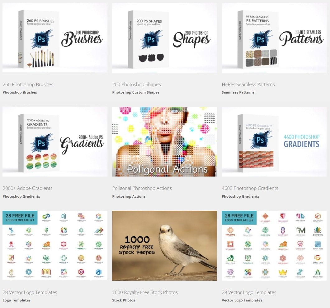 Free MEGA Graphics Bundle | 9000+ Design Elements | Lifetimo.com