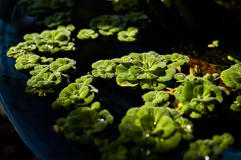 Best Party & Wedding Venues for Rent PJ | Wedding Space Rental