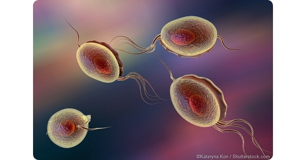 Trichomoniasis - www.medicoapps.org