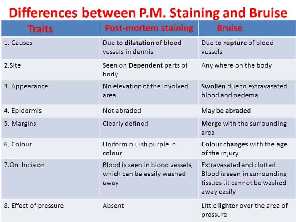 Contusion/Bruise-Factors and Color changes - www.medicoapps.org
