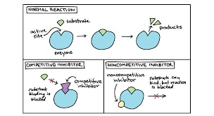 ENZYME INHIBITION (COMPETITIVE, NON-COMPETITIVE AND UNCOMPETITIVE ...