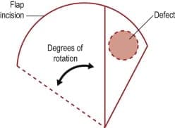 FLAPS - www.medicoapps.org
