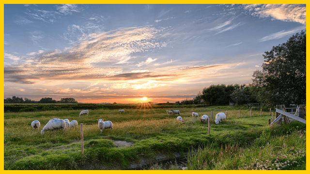 Rules of the Sabbath Day – Helping you Find Rest and Renewal