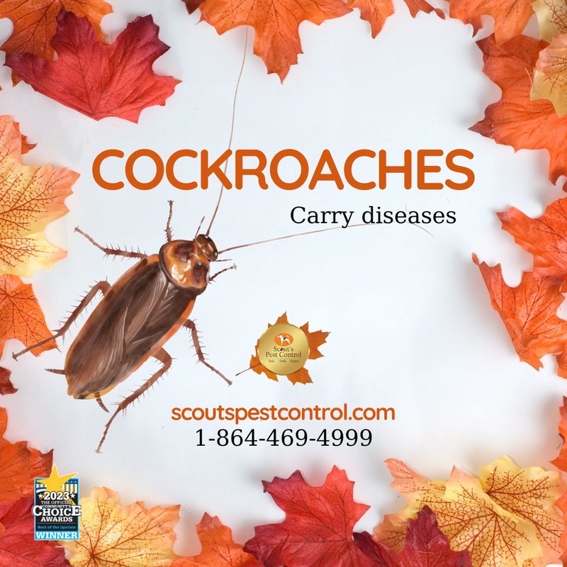 Fall Pests in South Carolina: Your Guide to a Pest-Free Home