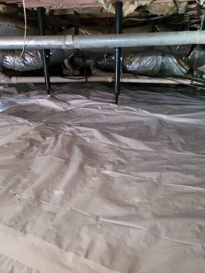 Encapsulation Gallery - Scout's Pest Control