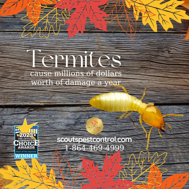 Fall Pests in South Carolina: Your Guide to a Pest-Free Home