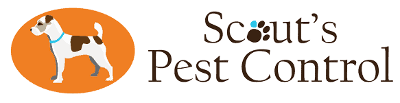 Blog - Scout's Pest Control