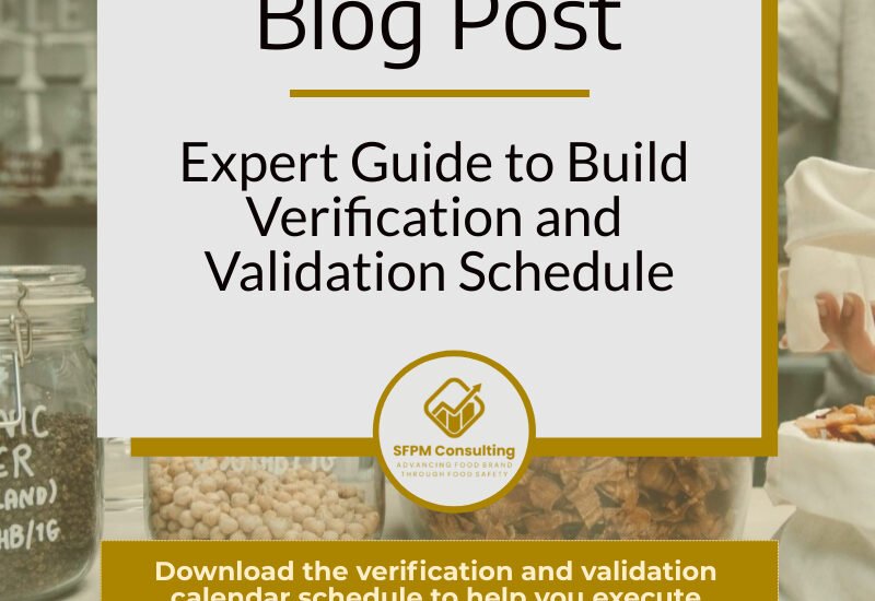 Expert Guide to Build Verification and Validation Schedule