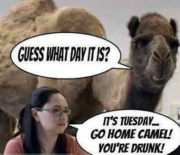 Radass Daily (47 Photos)