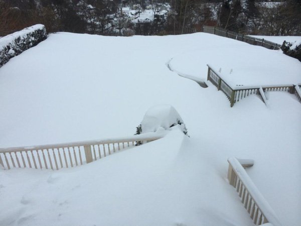 It's Snowing Historic Levels, But Those Tough Bostonian Bastards Are