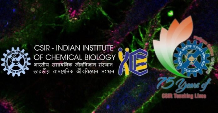 Scientist Jobs in CSIR-IICB (Indian Institute of Chemical Biology)