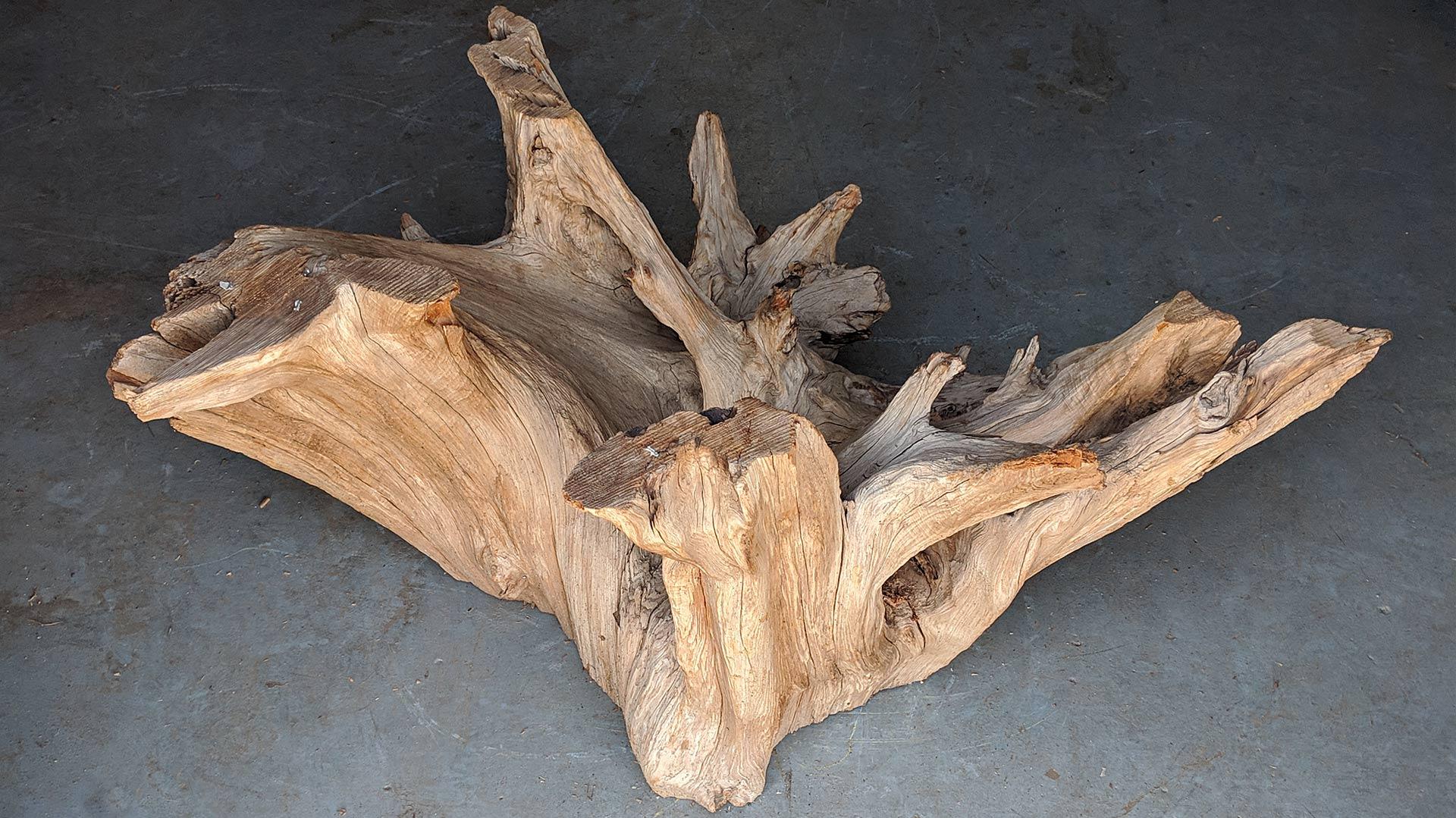 Denver Wood Slabs - Denver Wood Slabs