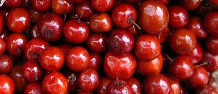 Ber or Bor Fruit is Lethal for Dandruff and Great for your Skin - hair ...