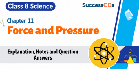 Force and Pressure Class 8 Notes, Question Answers, Explanation