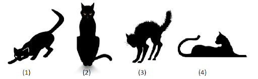 Class 10 Poem 9 Fog Question Answers, NCERT Solutions