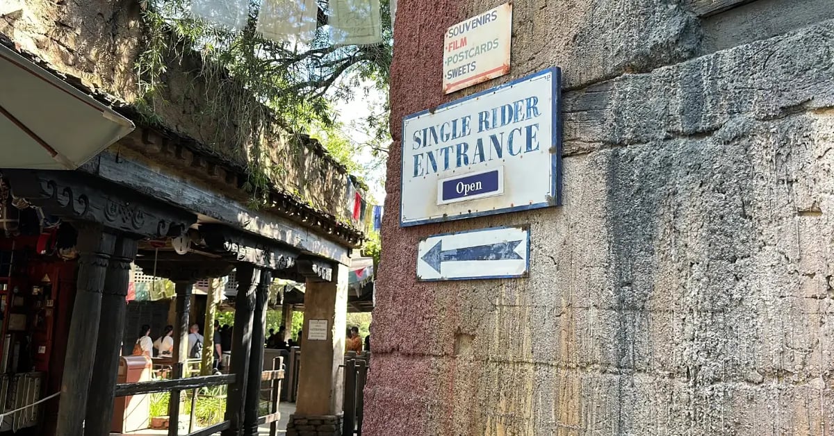 Which Disney World Rides Have Single Rider Lines? - WDW Magazine