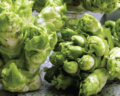 how-to-make-ice-sprouts