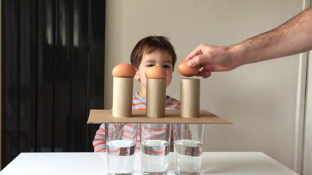 Egg Drop Experiment - Inertia Science Project