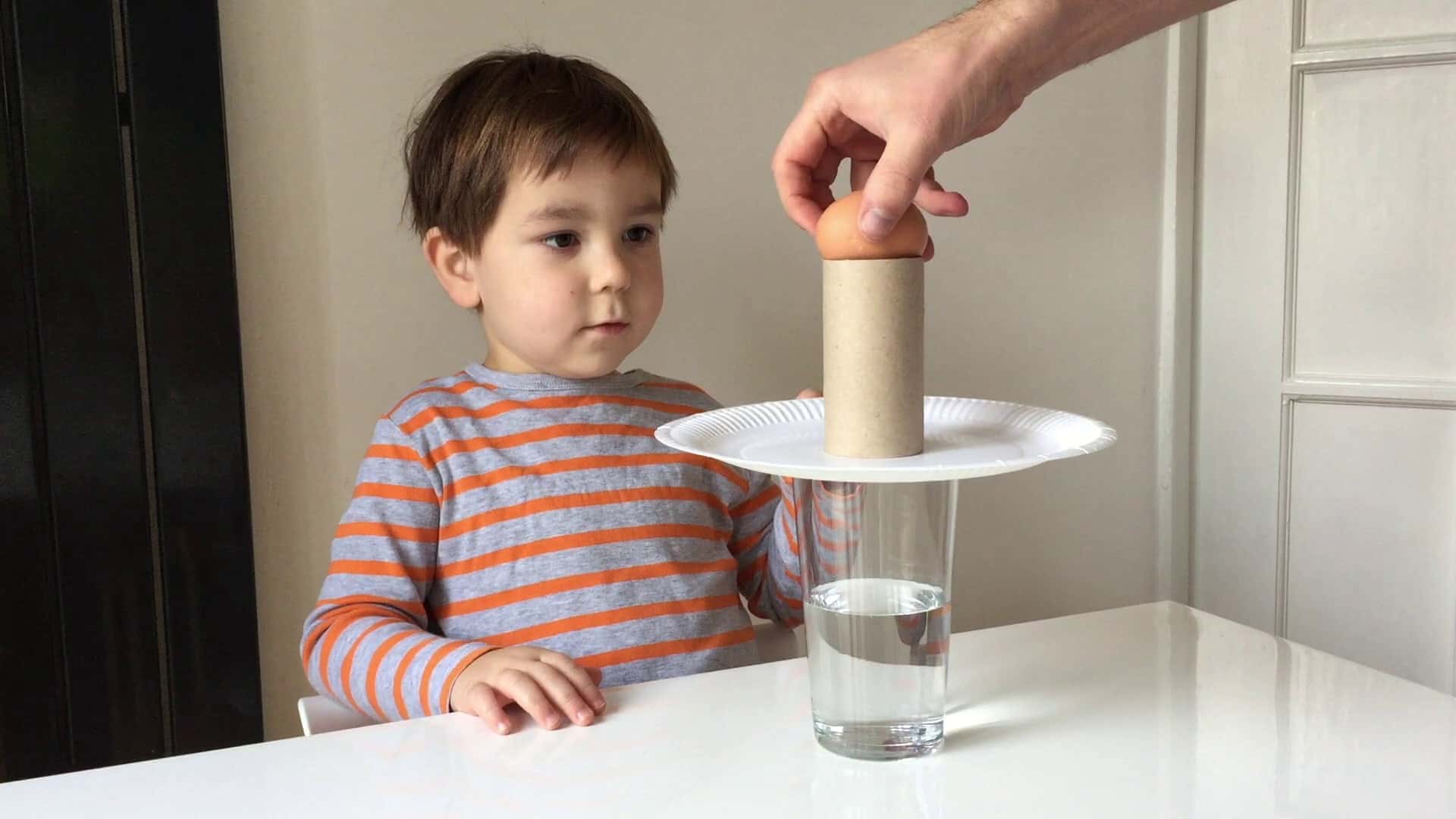 Egg Drop Experiment - Inertia Science Project