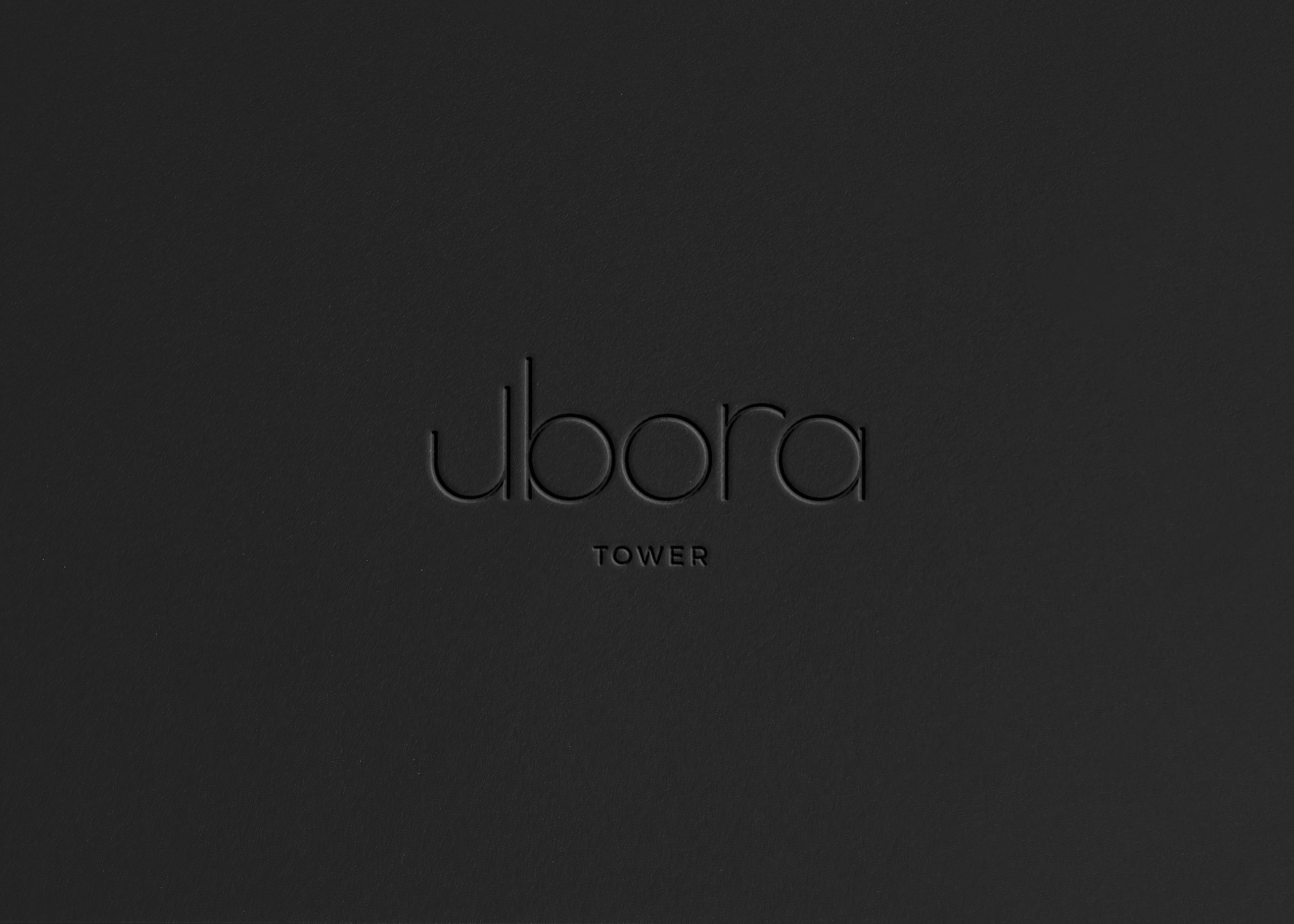 Logo, Website, Social Media for Ubora | The Tinker Hub